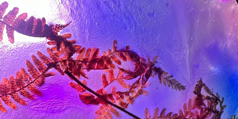 George Moody: ALL ROOTS LEAD TO YOU – exhibition | School of Fine Art ...