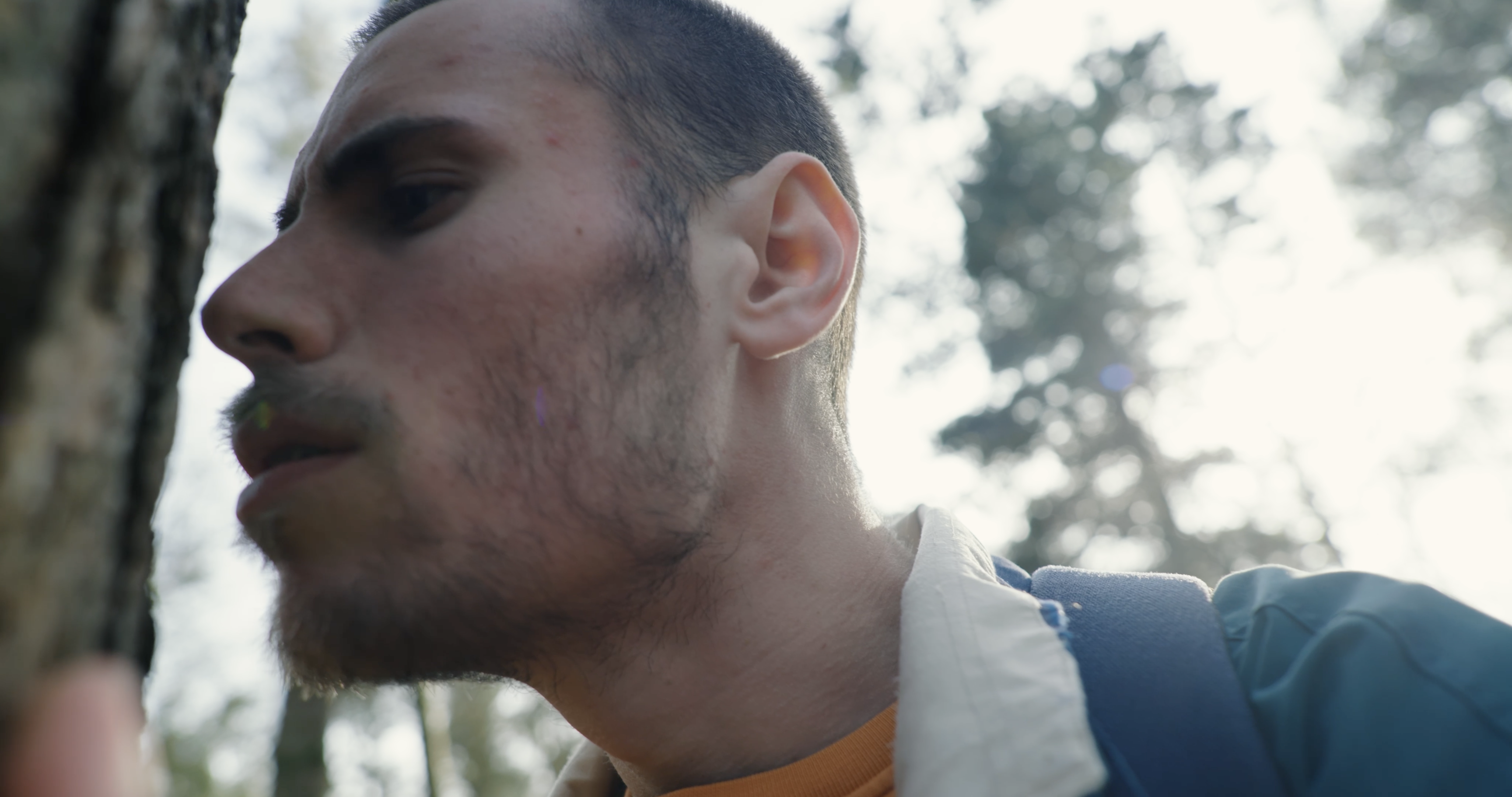 Mycelium (dir. Jacob Whiting, 2025) with artist Q&A | School of Fine ...