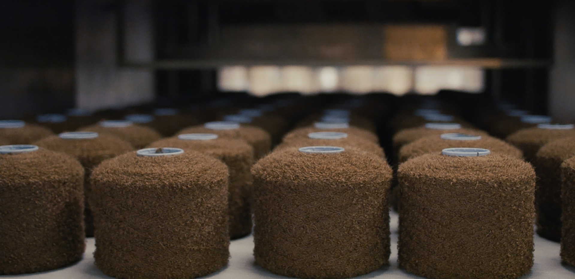 Introduction to Textiles Technology - January 2026 | School of Design ...